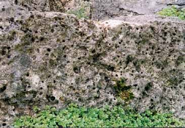 Gemeinde Gerstetten - Kulturelle Alb Partie - Künstler im Dorf e.V.